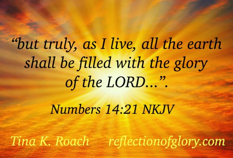 GLORY OF THE LORD | Reflection of Glory!